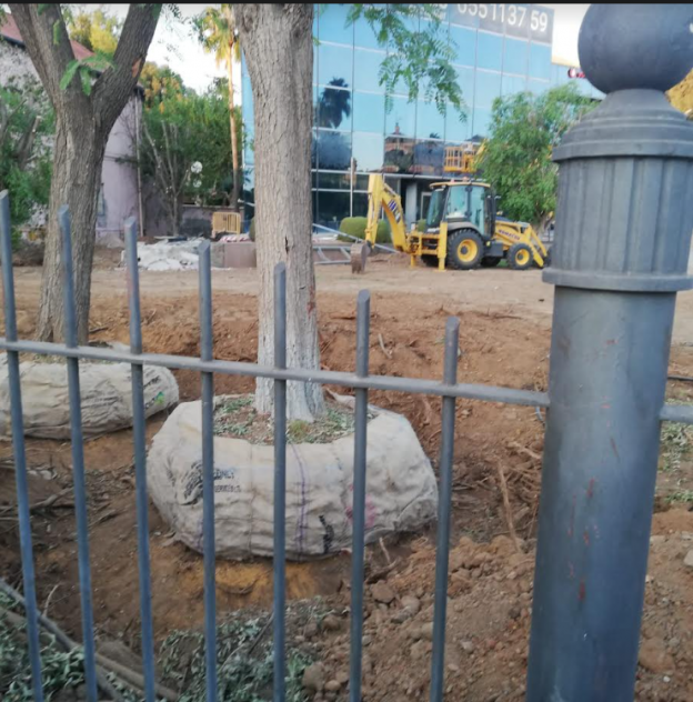 La avenida de La Palmera pierde nueva masa arbórea por las obras para ...